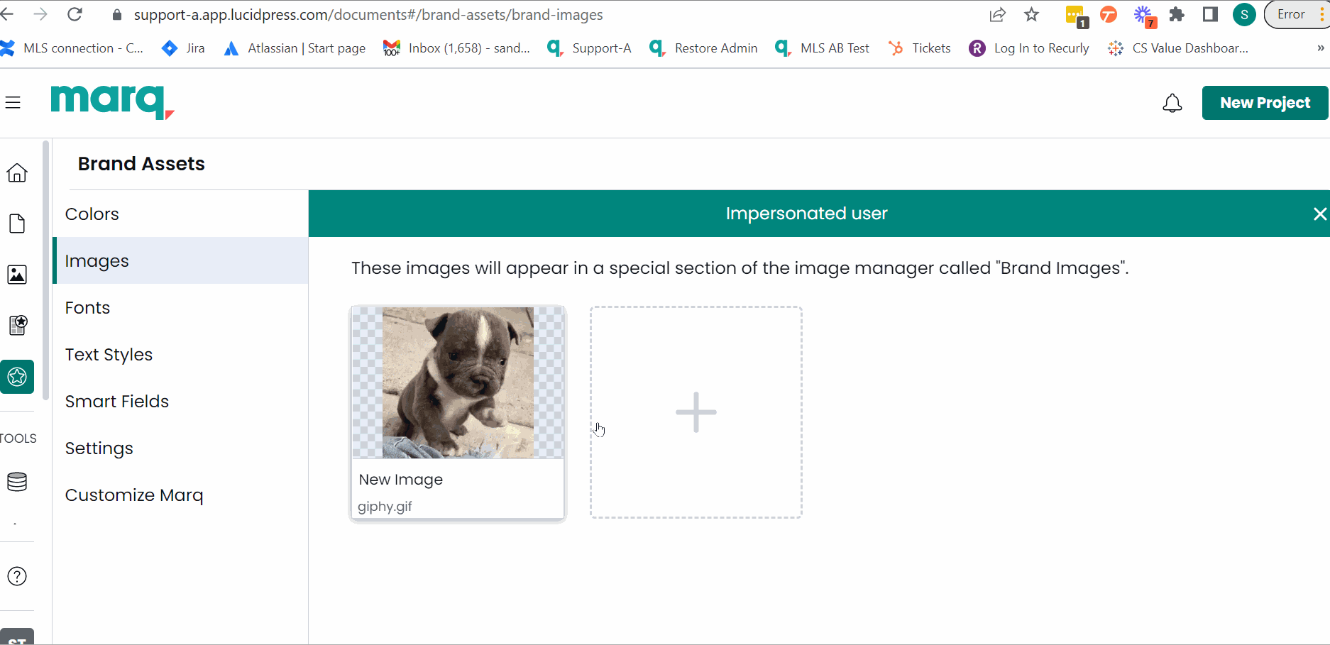 Storing GIFs in Marq